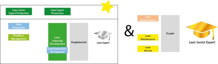 Lean Senior Expert