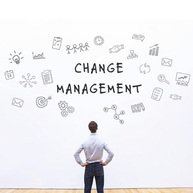 Lean Manager: Führungskompetenzen für effiziente Veränderungen, 5.355,00