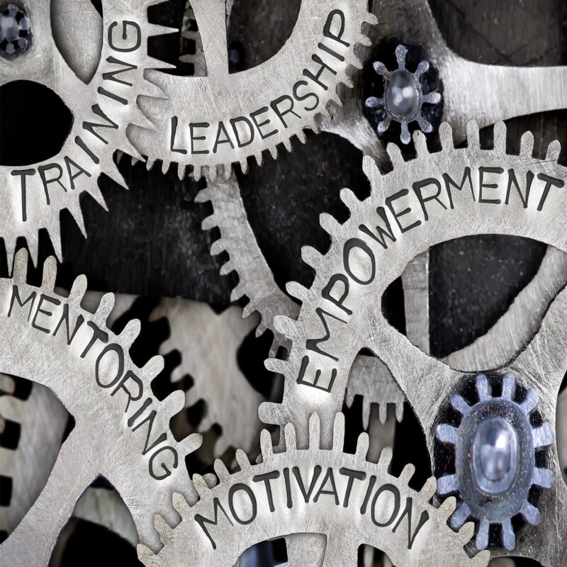 Lean Manager: Führungskompetenzen für effiziente Veränderungen, 5.355,00